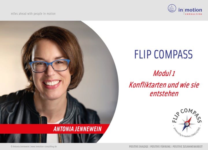 FLIP Compass Modul 1 - Konfliktarten - LösungsRAUM Impulse