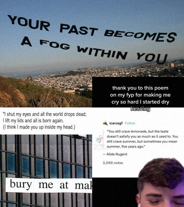 Mom, Can You Pick Me Up? The Girls Are Web Weaving Again - Polyester Zine