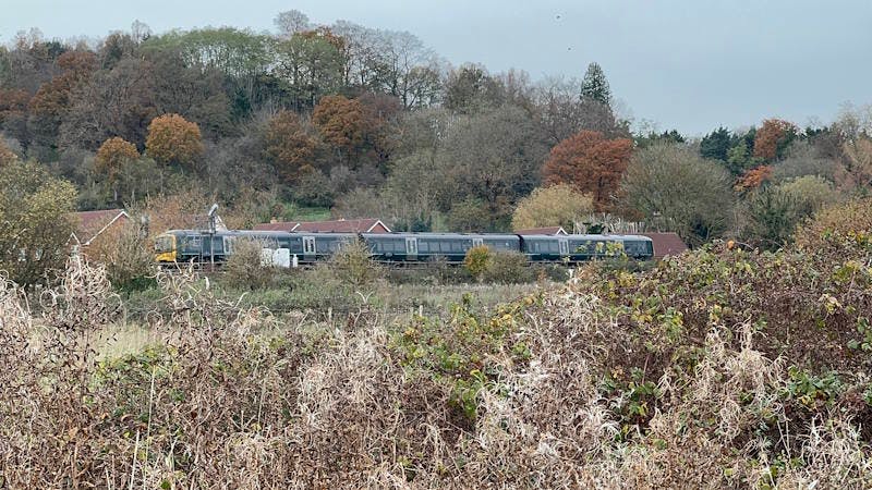 Newsletter - Wed 22 Jan, 2025 - reigate.uk