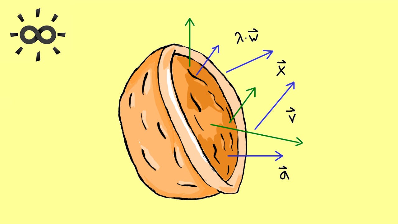 Books: Linear Algebra in a Nutshell and Real Analysis in a Nutshell ...