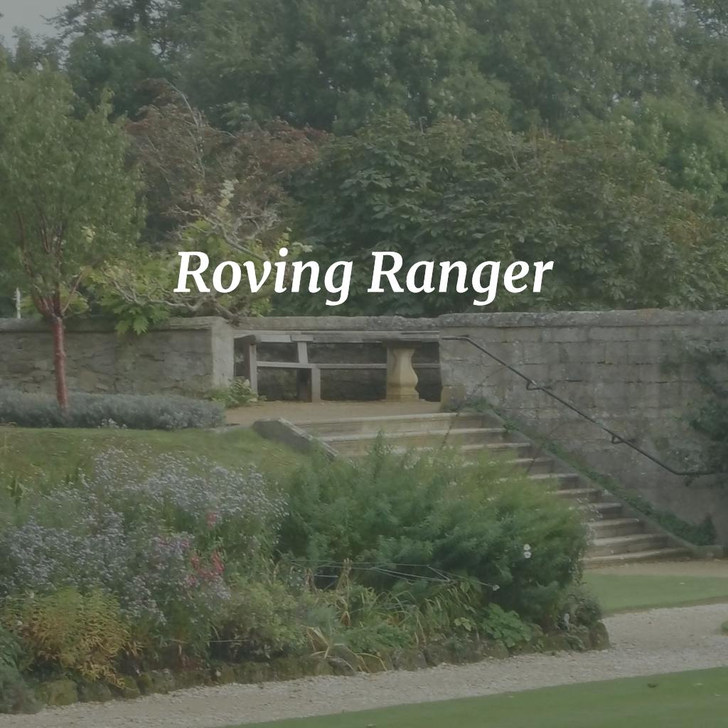 The Return of the Roving Ranger - The Tolkienist's Roving Ranger and more