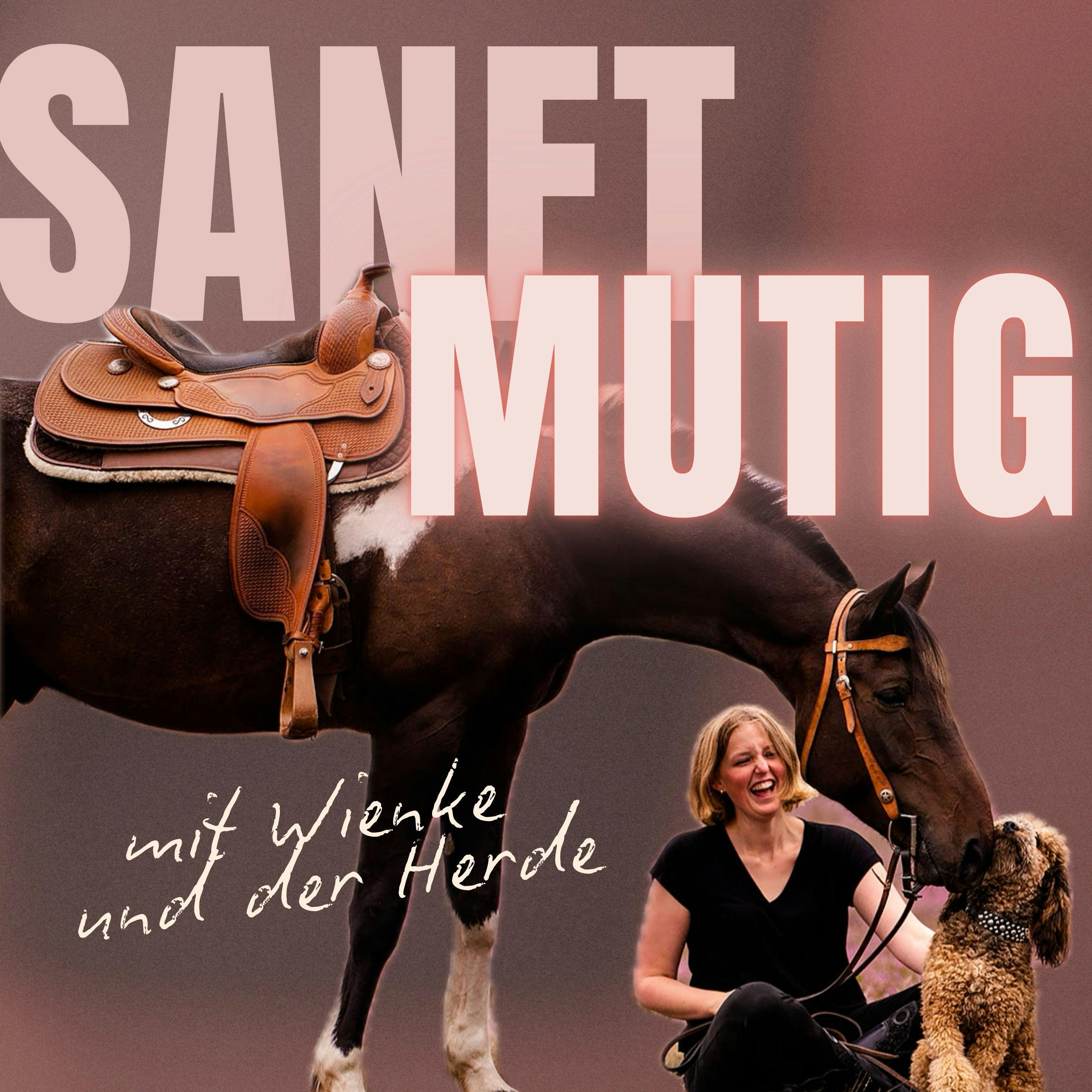 Was mich dazu befähigt, zu DIR zu sprechen - SANFTMUTIG mit Wienke und ...