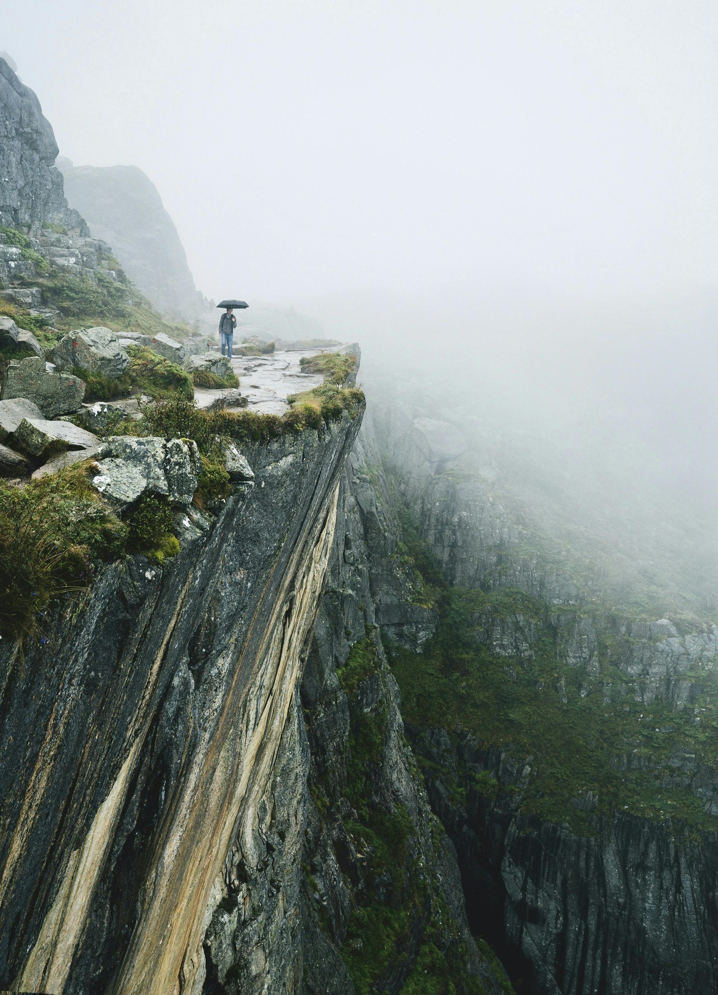 Monkey Monday #32 - Macro Monkey